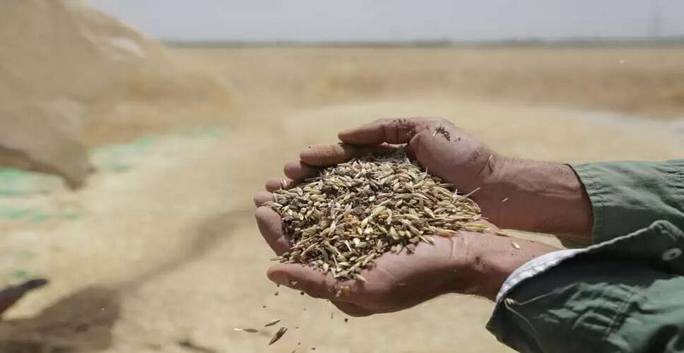 Wheat, rice procurement enough to 'comfortably meet food grains ...