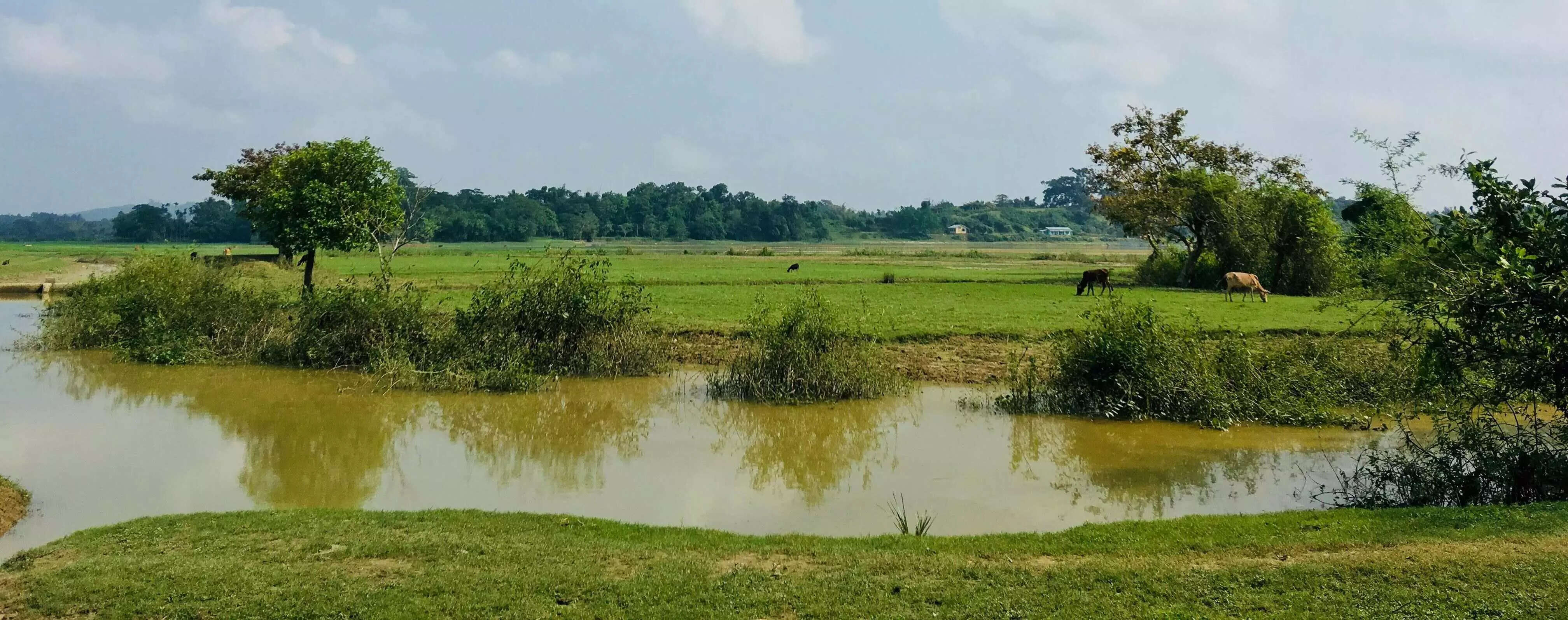 Irrigation Challenges in Assam: Addressing the Gap