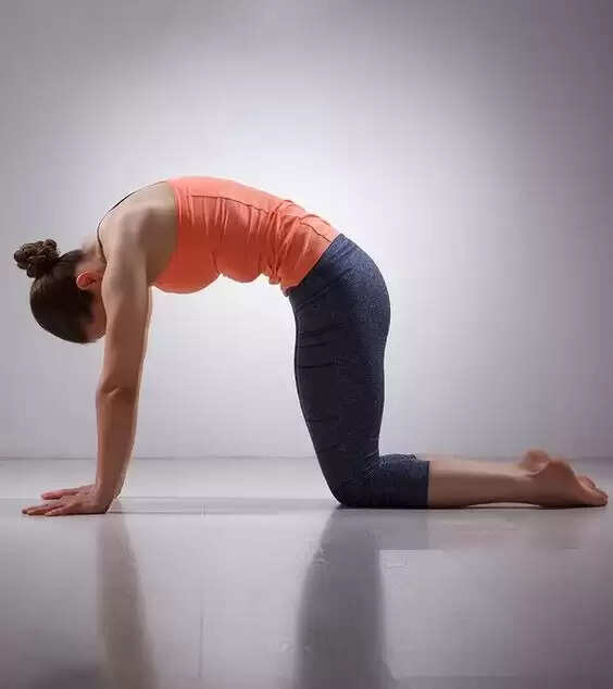 Unleash Your Inner Feline: Step-by-Step Guide to Cat Pose or ...