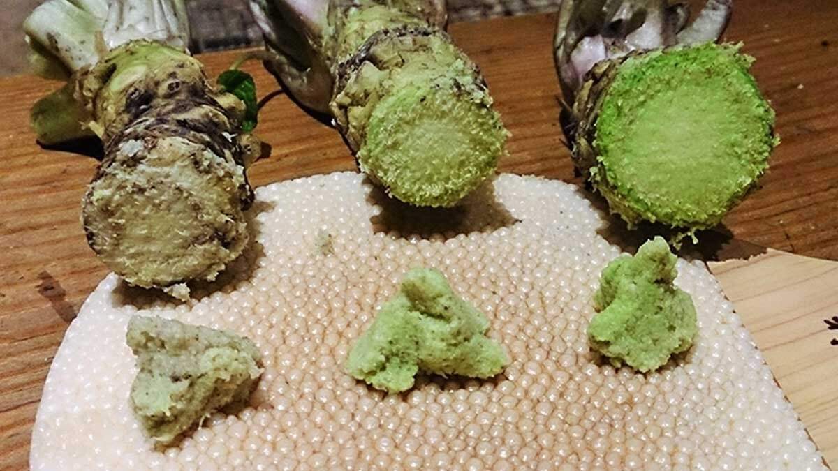 Grow Your Own Brain Booster: The Surprisingly Easy Wasabi Plant and Its ...