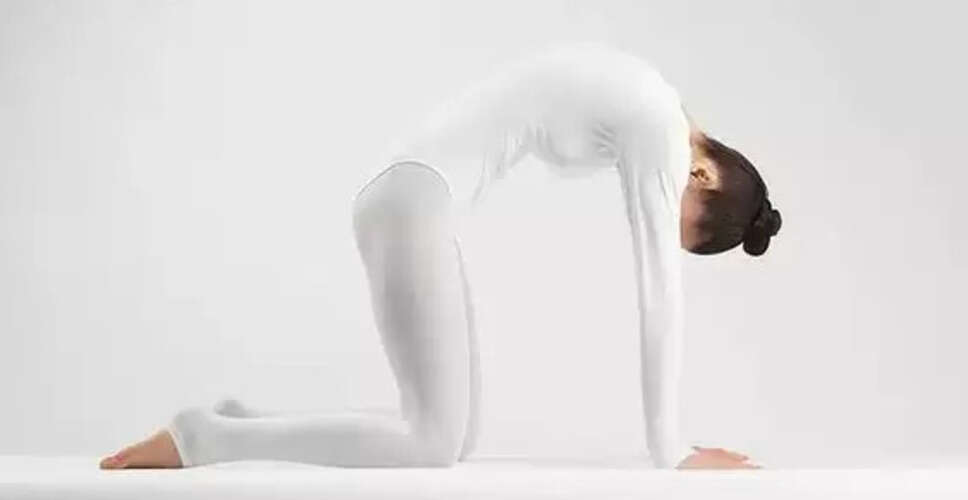 Unleash Your Inner Feline: Step-by-Step Guide to Cat Pose or ...