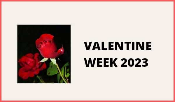 Valentine Week 2023 Full List 7 to 21 Feb, Days, Calendar check