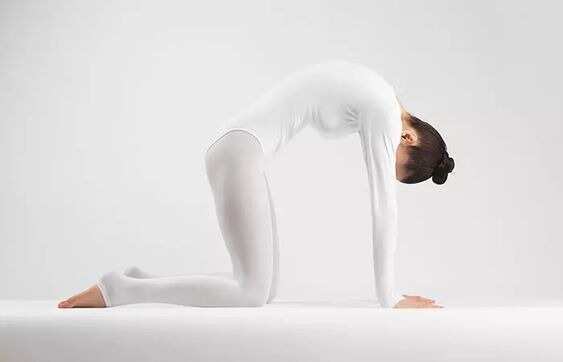 Unleash Your Inner Feline: Step-by-Step Guide to Cat Pose or ...